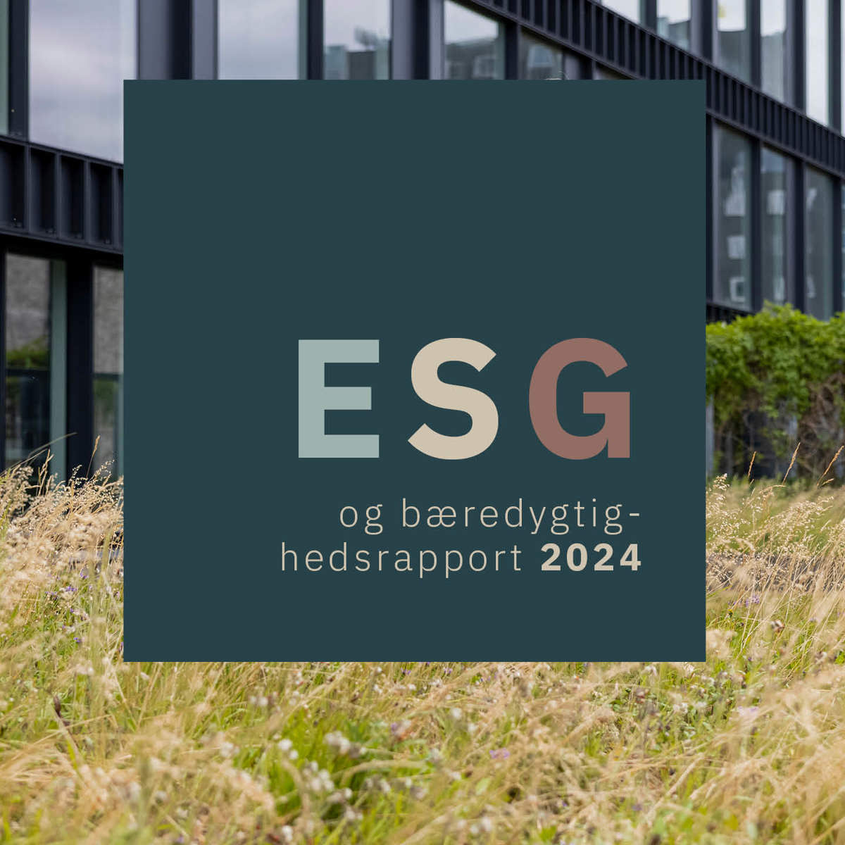 ESG- og bæredygtighedsrapport 2024 | Læs rapporten her