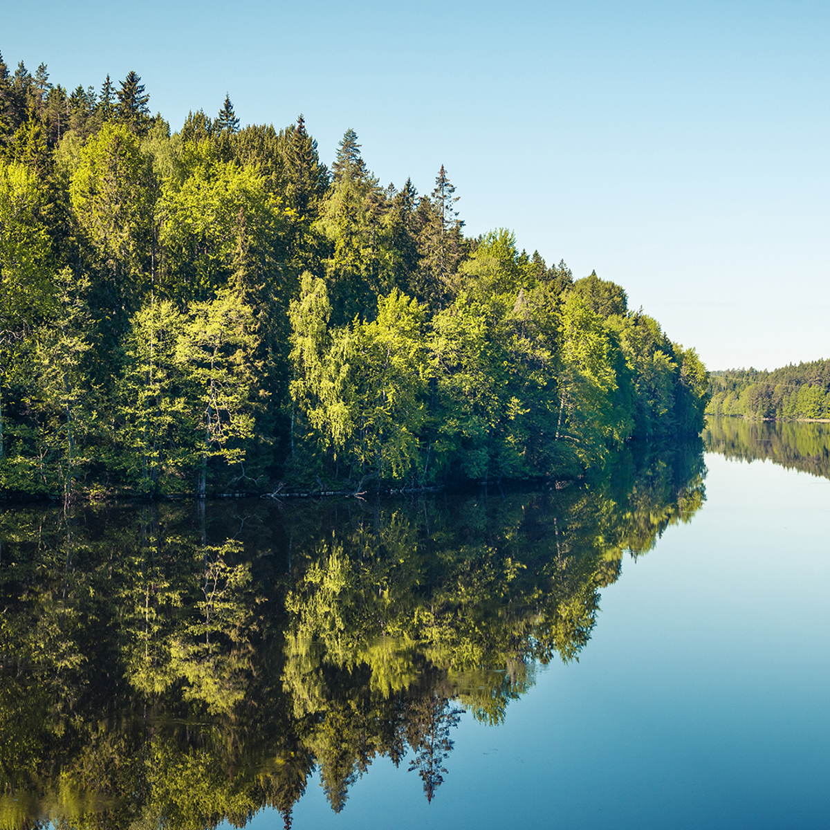 Fredning af Vejle Ådal: Landsretsdom om miljøscreening | Læs mere